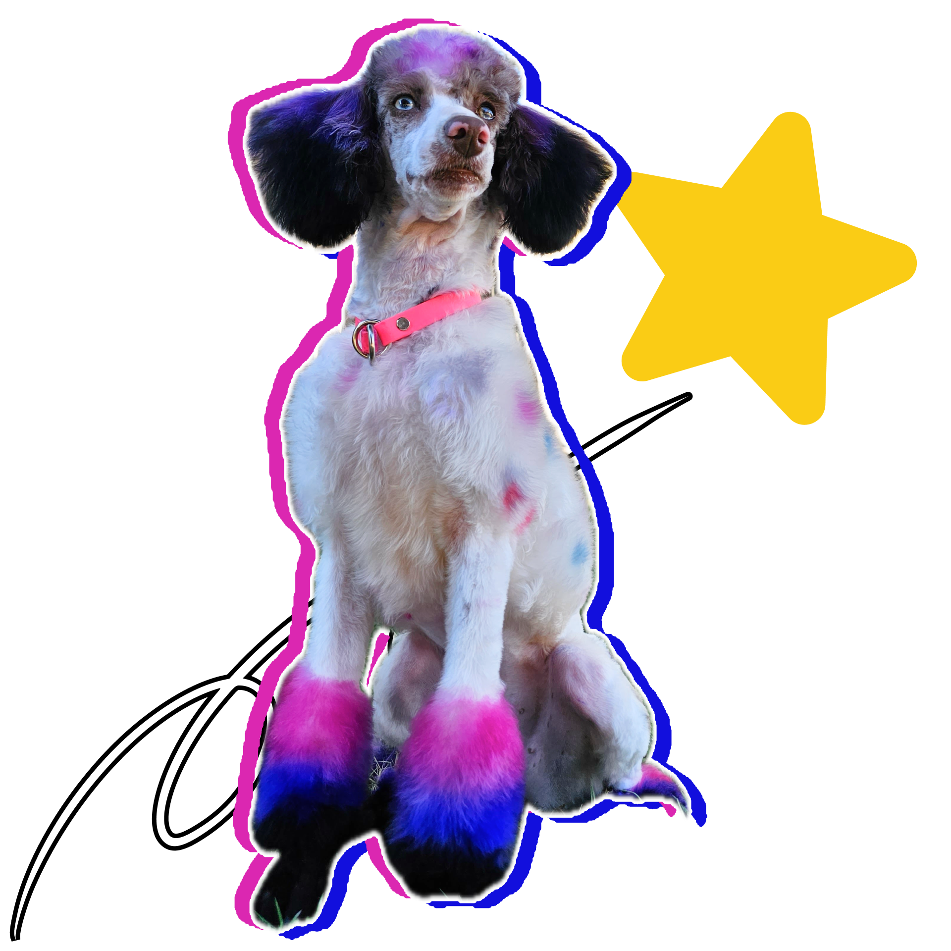 Home | Jessica Super Dogs